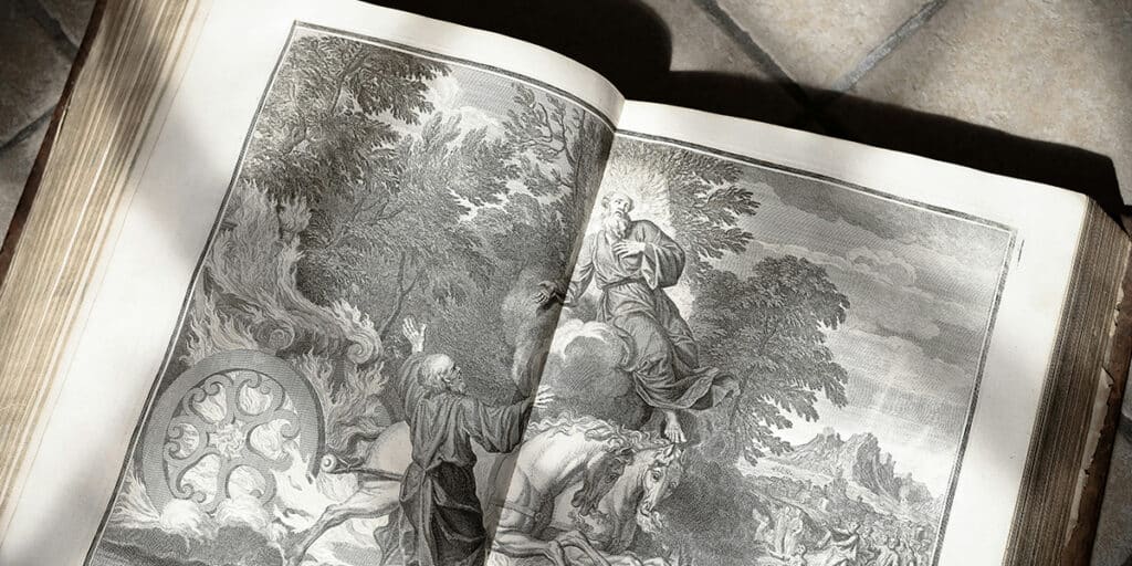 Getting to Know Joel, Old Testament Prophet | Franciscan Media