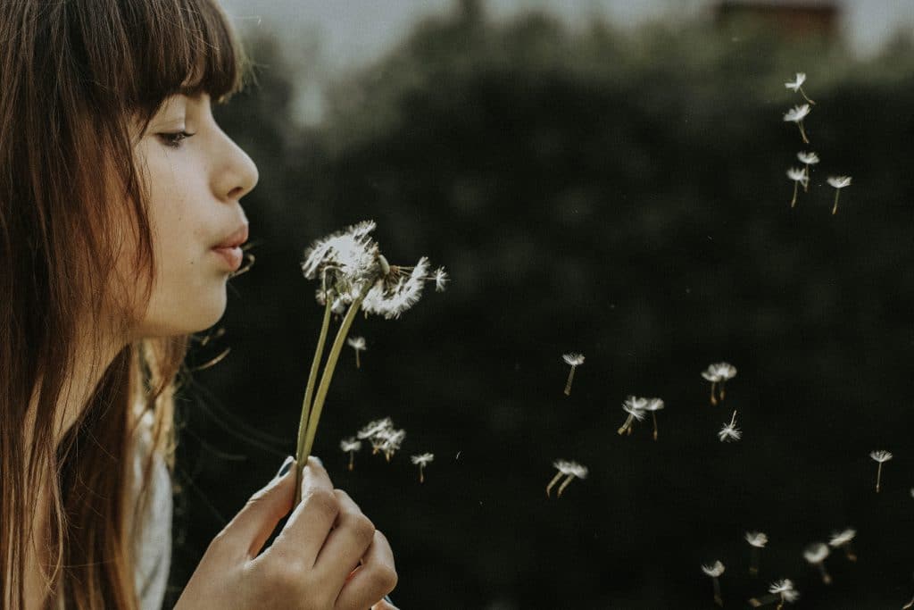 A Call for Holy Simplicity | Franciscan Media