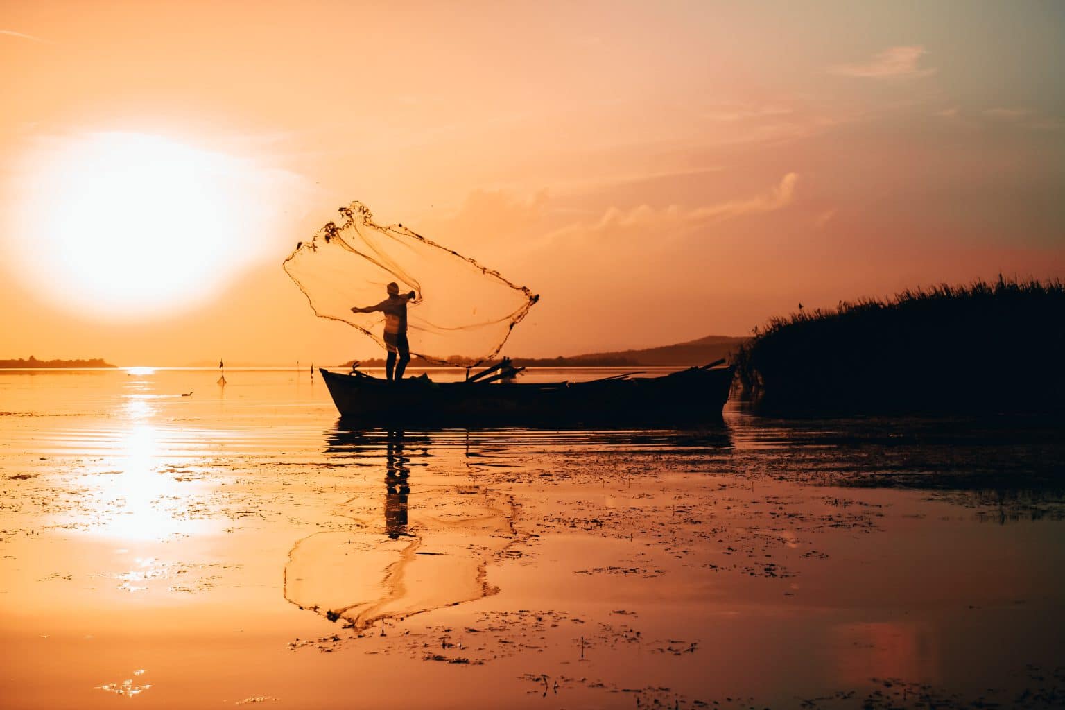 Dinner with Saint Andrew, Fisher of Men | Franciscan Media