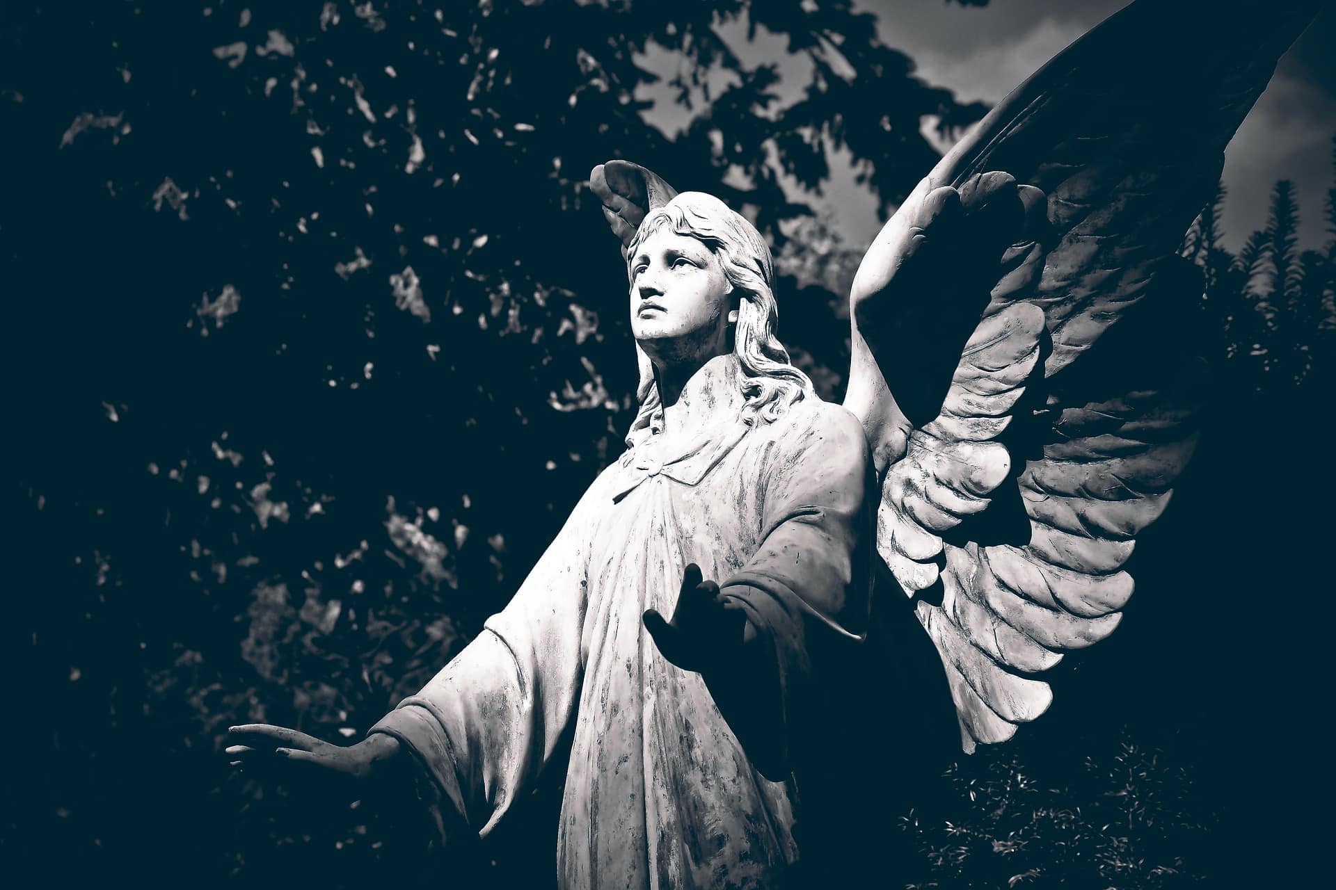 Angels All around Us | Franciscan Media