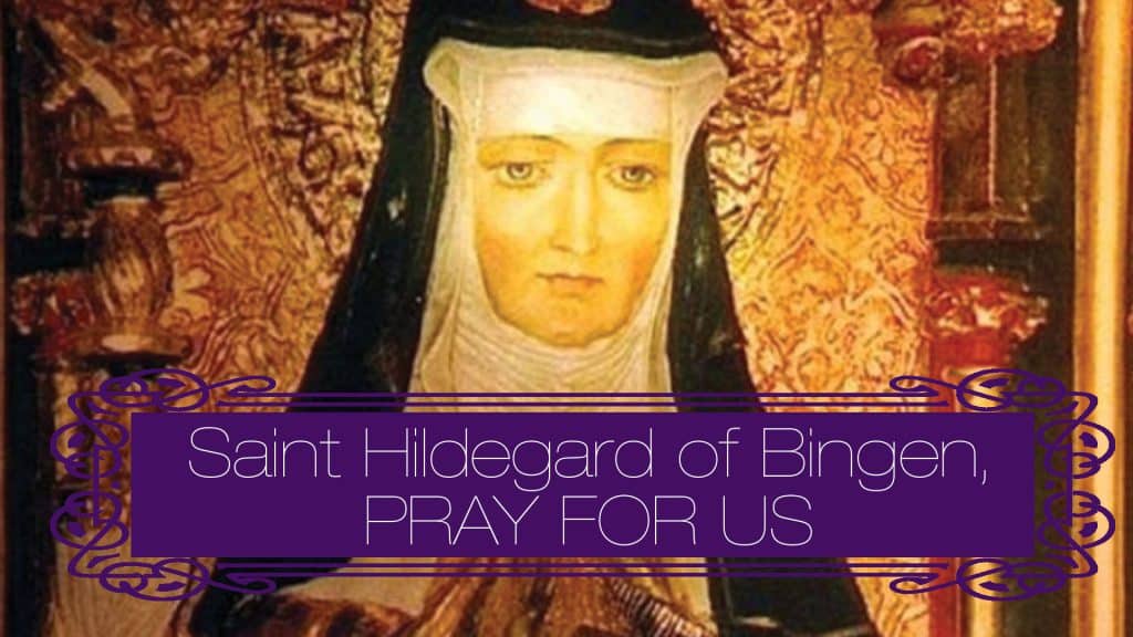 Sisterhood of Saints: 14 Holy Women | Franciscan Media