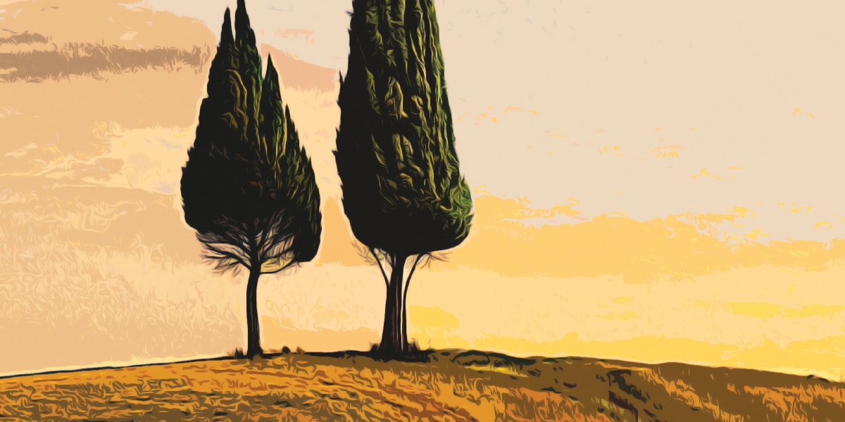 St. Bonaventure: Loving God with Heart and Mind | Franciscan Media