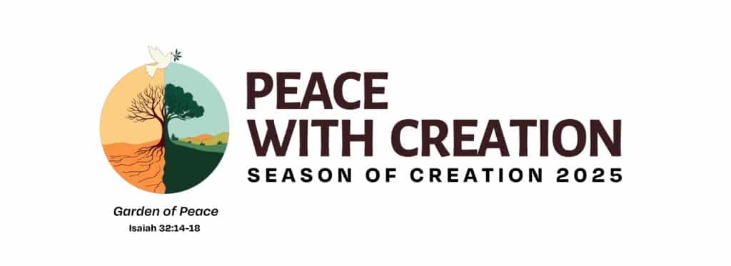 Peace and care for creation are linked, dicastery says | Franciscan Media